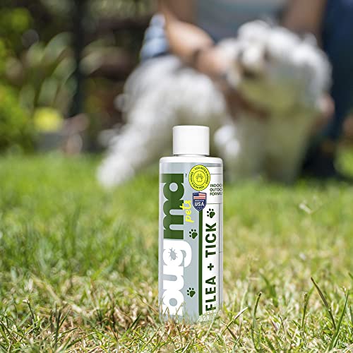 BugMD Flea and Tick Concentrate (3.7 oz)- Essential Oil-Powered Formula, Controls Fleas, Ticks, Mites in Dogs, Cats, and Other Furred Animals, Spray on Pet Beds, Kennels