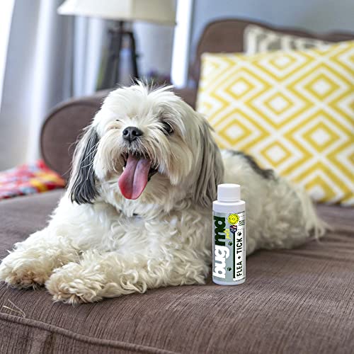 BugMD Flea and Tick Concentrate (3.7 oz)- Essential Oil-Powered Formula, Controls Fleas, Ticks, Mites in Dogs, Cats, and Other Furred Animals, Spray on Pet Beds, Kennels
