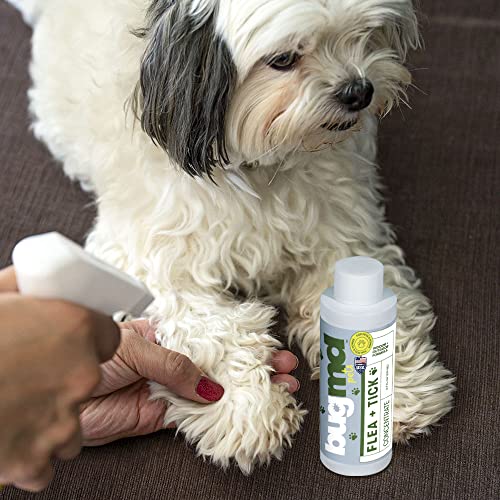 BugMD Flea and Tick Concentrate (3.7 oz)- Essential Oil-Powered Formula, Controls Fleas, Ticks, Mites in Dogs, Cats, and Other Furred Animals, Spray on Pet Beds, Kennels