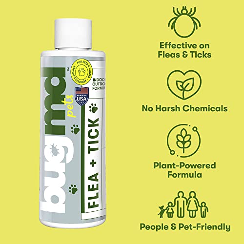 BugMD Flea and Tick Concentrate (3.7 oz)- Essential Oil-Powered Formula, Controls Fleas, Ticks, Mites in Dogs, Cats, and Other Furred Animals, Spray on Pet Beds, Kennels