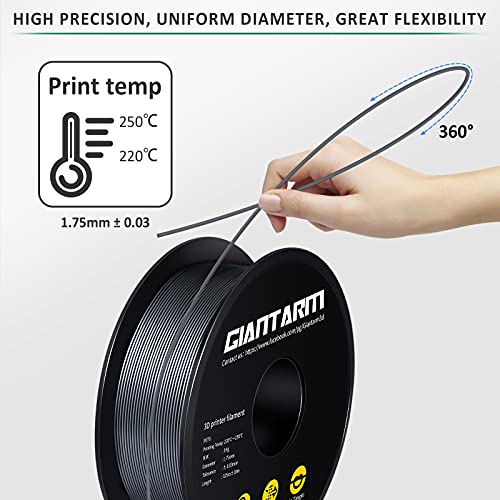 GIANTARM Silver PETG 3D Printer Filament Toughness Enhanced 1kg (2.2lbs), 1.75mm Dimensional Accuracy +/-0.03mm, 1080 FeetοΌ330m)/Roll, Vacuum Package, Fit for Most 3D FDM Printer