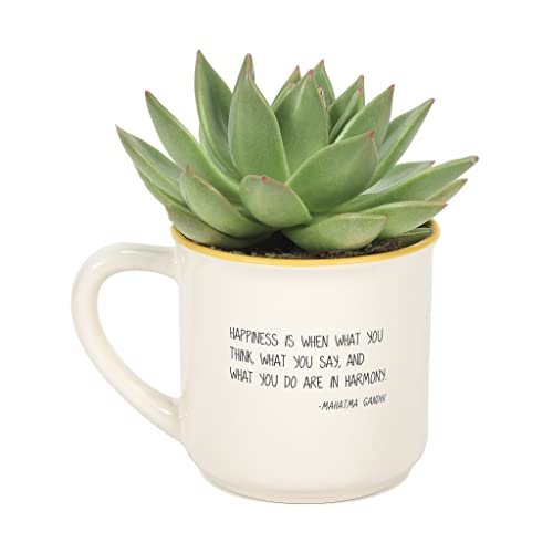 Enesco Our Name is Mud Do What Makes You Happy Camper Coffee Mug, 16 Ounce, Multicolor