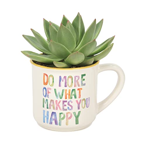 Enesco Our Name is Mud Do What Makes You Happy Camper Coffee Mug, 16 Ounce, Multicolor
