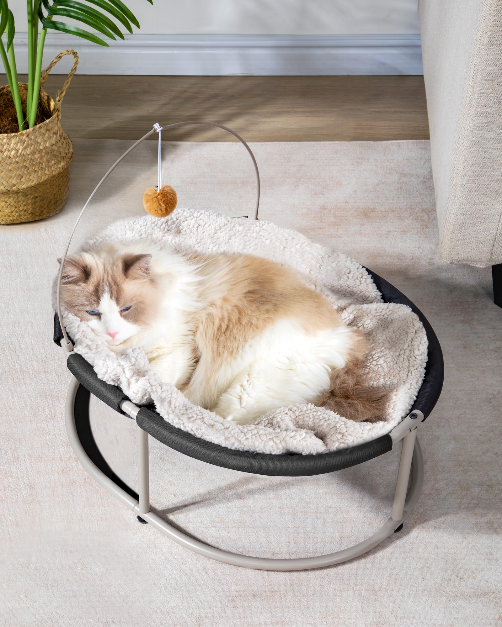 Hzuaneri Oval Raised Cat Bed, Elevated Pet Hammock, for Kitty Cat Small Dog with Pompom, Detachable and Washable, Easy Assembly Cat Cot Excellent Breathability, for Indoors & Outdoors, Black PB06701X