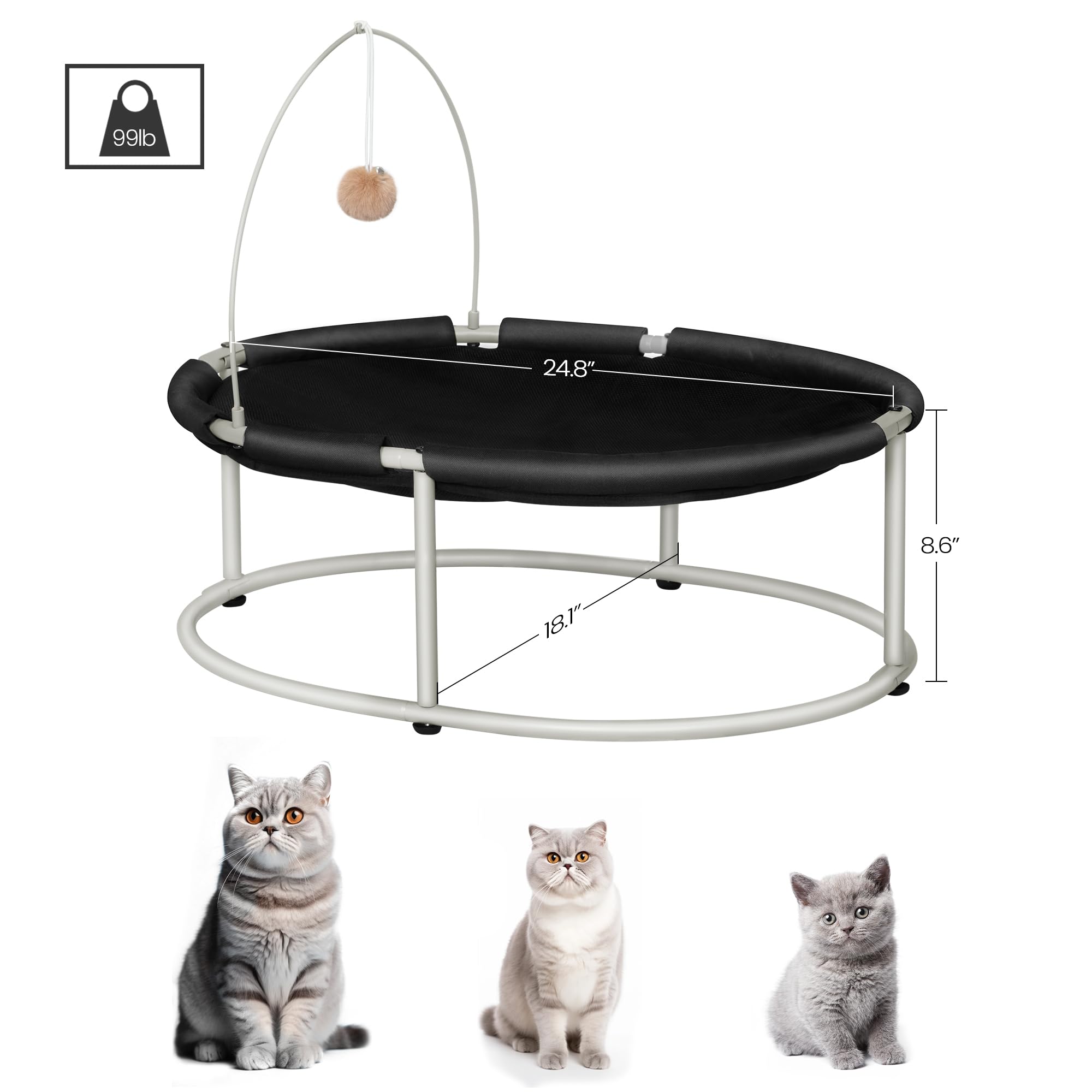 Hzuaneri Oval Raised Cat Bed, Elevated Pet Hammock, for Kitty Cat Small Dog with Pompom, Detachable and Washable, Easy Assembly Cat Cot Excellent Breathability, for Indoors & Outdoors, Black PB06701X