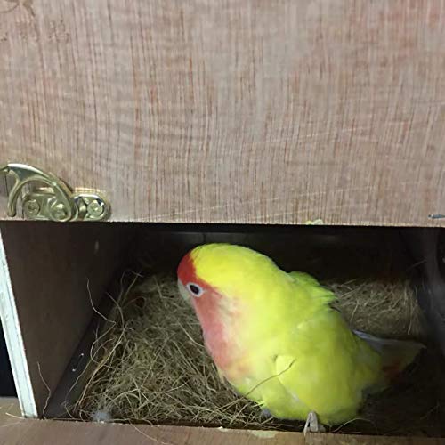 Lucky Interests Coconut Fiber, 9oz. Comfortable Bedding for Small Birds and Animals, Nest Material for Nest Building, Hideouts, Plants and Upholstery