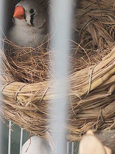 Lucky Interests Coconut Fiber, 9oz. Comfortable Bedding for Small Birds and Animals, Nest Material for Nest Building, Hideouts, Plants and Upholstery
