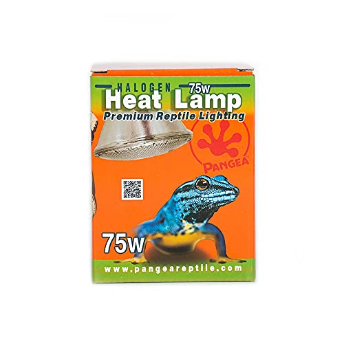 Pangea Halogen Heat Lamp for Reptiles (75 Watt)