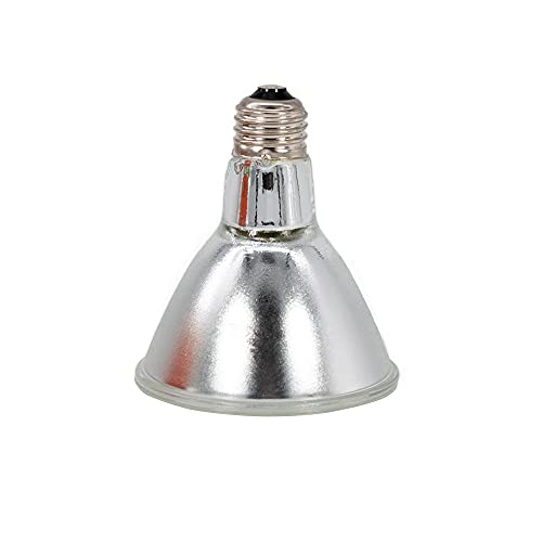 Pangea Halogen Heat Lamp for Reptiles (75 Watt)