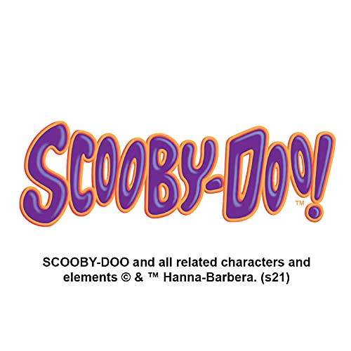 Scooby-Doo Scooby And Shaggy Snacks THERMOS STAINLESS KING Stainless Steel Drink Bottle, Vacuum insulated & Double Wall, 24oz