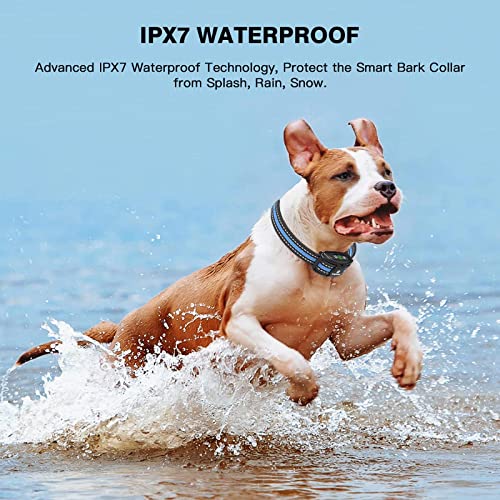 Laptom Pro 2 Pack Smart Dog Bark Collar - 5 Adjustable Sensitivity/Vibration&Sound/Rechargeable/IPX7 Waterproof - No Shock Bark Control Training Collar for Small Medium Large Dog (V1)