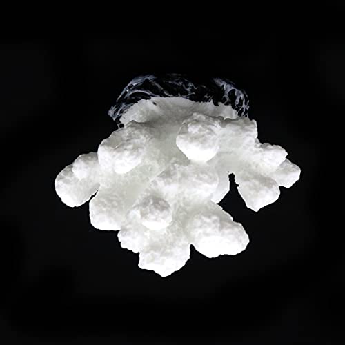 Semetall 2Pcs Sea Coral Aquarium Ornament, Artificial Sea Coral Plants Decorations for Fish Tank and Aquarium(White)
