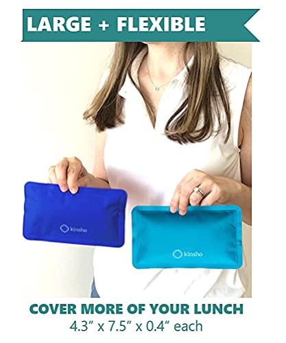 kinsho Bento Box Lunch Boxes and Matching Ice Packs (Blue)