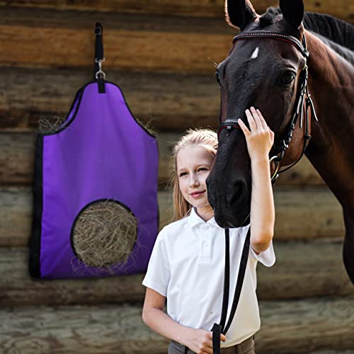 yashchykov Premium Durable Horse Slow Feed Hay Bag with Metal Snap Fastener and Heavy Adjustable Strap -