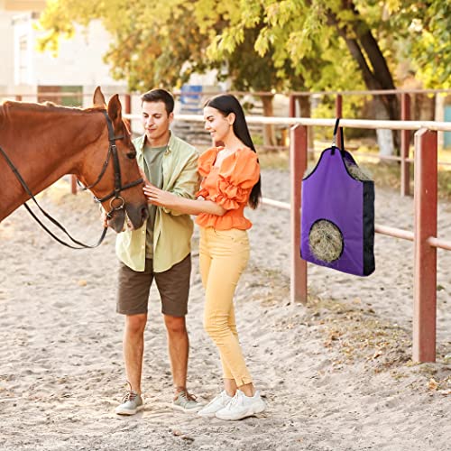 yashchykov Premium Durable Horse Slow Feed Hay Bag with Metal Snap Fastener and Heavy Adjustable Strap -