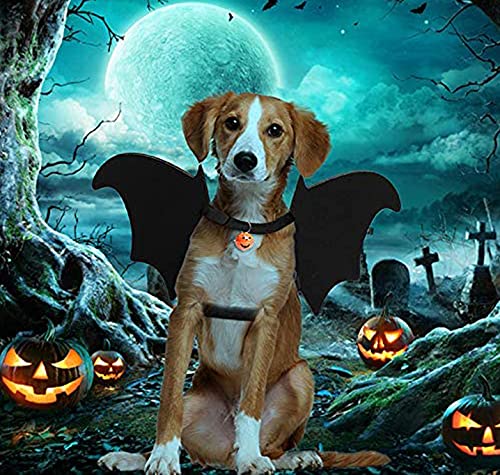 Halloween Dog Costume Pet Bat Wings Funny Cosplay Apparel Puppy Costumes for Medium Large Dogs Outfit, Adjustable Bat Wing with Dog Leash and Pumpkin Bells (Black, Under 80 pounds)