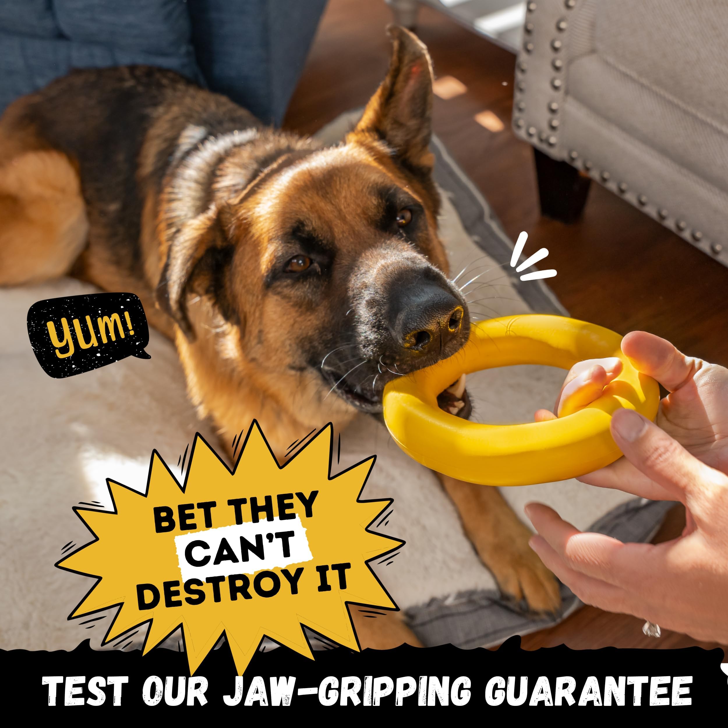 WoofBite "Indestructible Ring Dog Toy - Lifetime Replacement - Medium & Large Breed - Durable for Aggressive Chewers - Tough & Strong, Heavy Duty Natural Rubber - Fetch, Tug, & Chew - 6.5in.