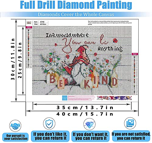 eniref 5D Diamond Painting Kits for Adults Paint with Diamonds Full Round Drill 5D Diamond Dots Craft Diamond Art Kits - for Home Wall Decor and Adults Kids DIY Gift(Gnome 16 X 12 inch)