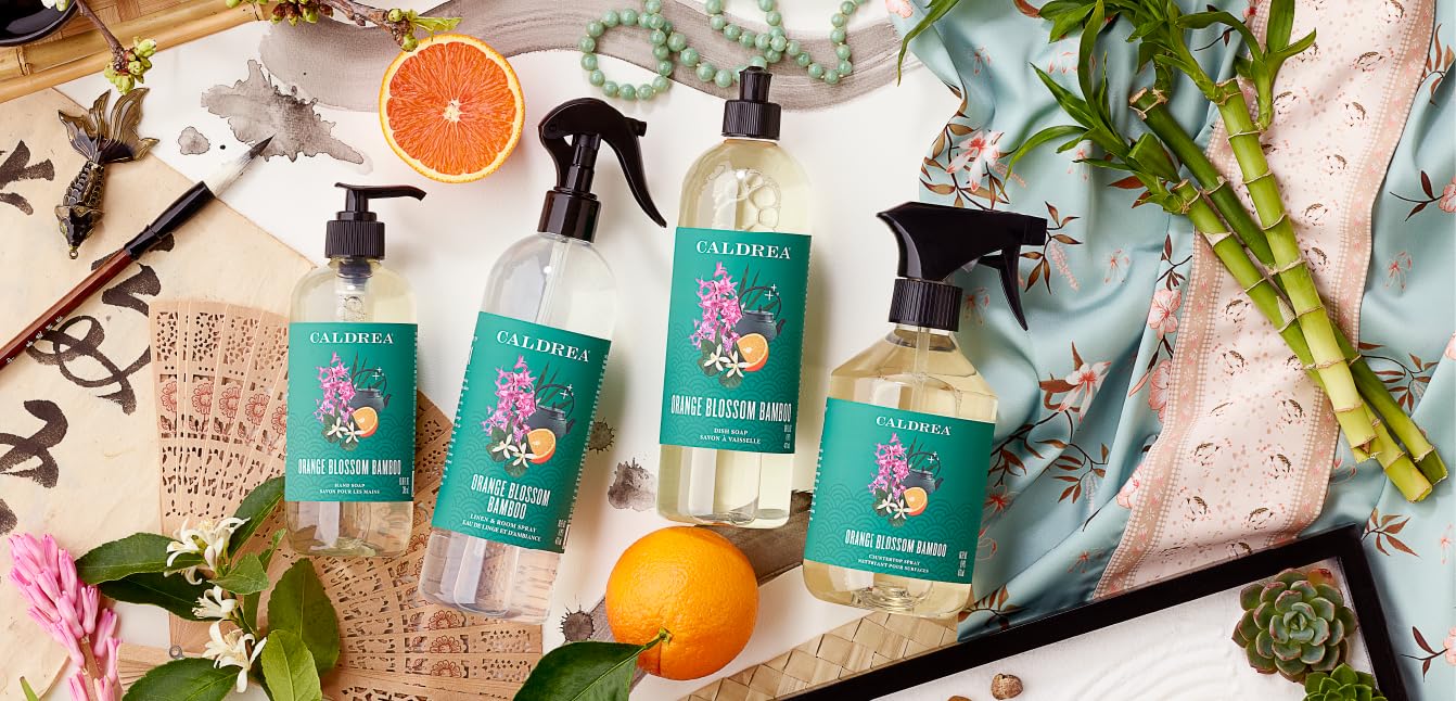 Caldrea Dish Soap, Dishwashing Liquid Made with Soap Bark, Aloe Vera, Orange Peel and Ylang Ylang Flower Essential Oils, Orange Blossom Bamboo Scent, 16 oz