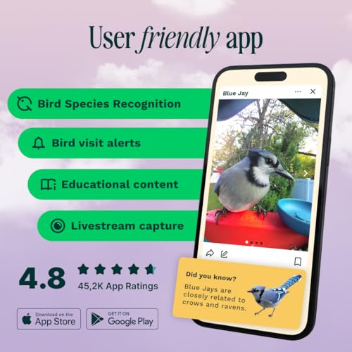 Bird Buddy Solar Smart Bird Feeder with Camera - Ai Bird Species Identification, 5Mp Photos, 2K Hd Video Live Stream Camera, Solar-Powered Charging, 2.8In Focus - Blue