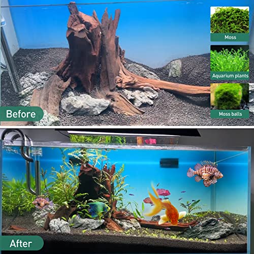 Hiwzitar Natural Large Coral Driftwood for Aquarium Decor, 10-15 Inch Length Branches for Fish Tank Reptile Decorations 2 PCS
