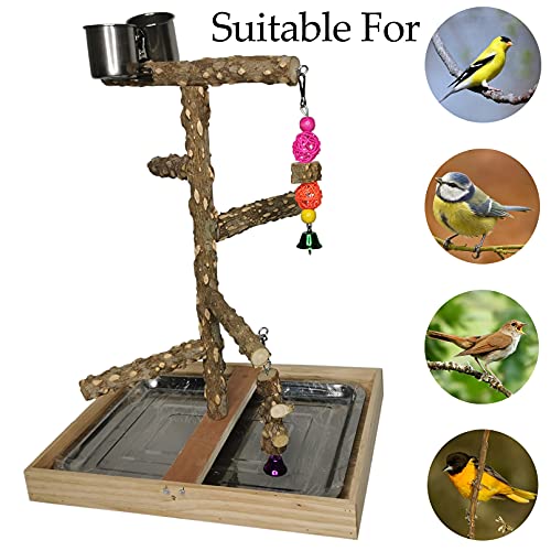 Tfwadmx Bird Perch Natural Wood Stand Toy Parrot Play Stand Platform Bird Cage Branch Perch Accessories for Parakeets Canaries Cockatiels Conure Lovebirds