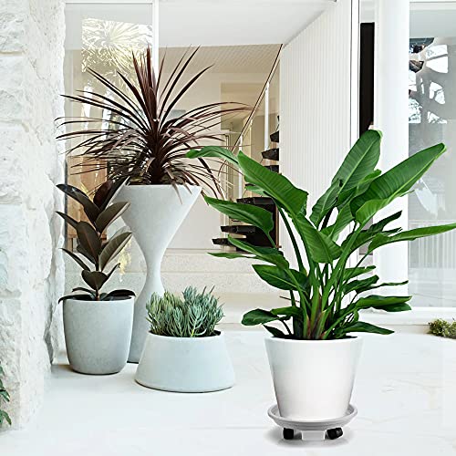 Looca Plant Caddy with wheels and Drainage Tray, 13”Rolling Plant Stand Flower Pot Mover, Planter Caddies Round Plant Dolly for Heavy Duty Planter, 3 Pack, Bearing 120 lbs