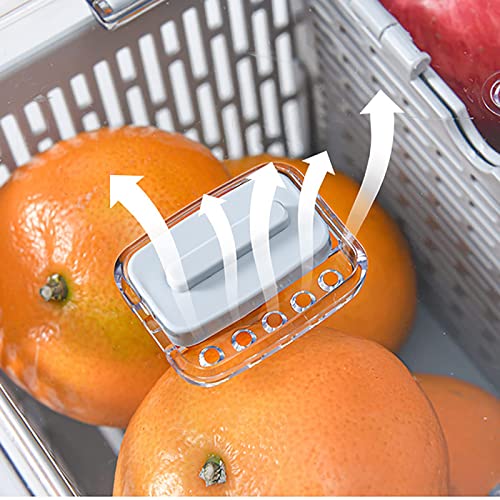 Cedilis 3 Pack Fresh Container, Produce Saver Container for Refrigerator, Vegetable Fruit Storage Container, Fridge Storage Organizer Bins with Divider, Fridge Container Box, Grey(Not Dishwasher Safe)