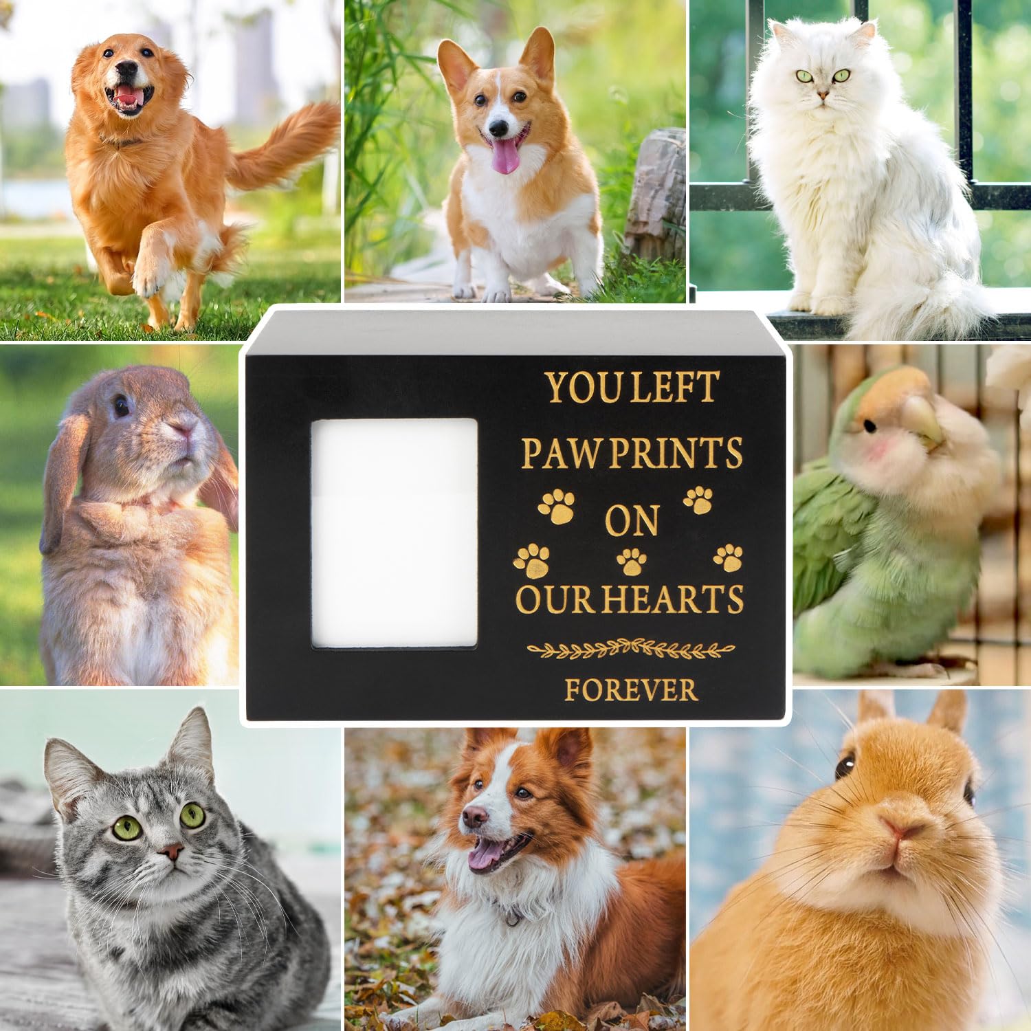 Pet Urns for Dog or Cat Ashes, Wooden Pet Memorial Urns with Photo Frame, Pet Cremation Urns Keepsake Memory Box with Black Flannel as Lining, Loss Pet Memorial Remembrance Gift (Black)