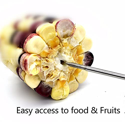 Bonaweite 2 Pack Bird Food Holder, Pet Parrot Feeders, Stainless Steel Birds Fruit Vegetable Stick Holders, Foraging Toy, Bird Treat Skewer
