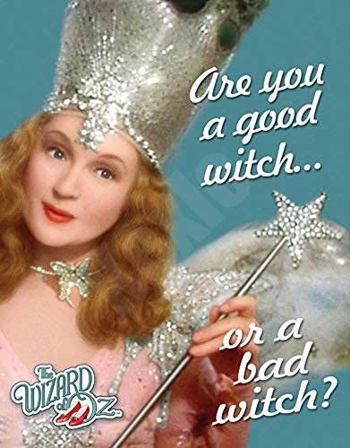 Kexle Wizard of Oz Glinda are You a Good Witch or a Bad Witch? Tin Sign 8X12in