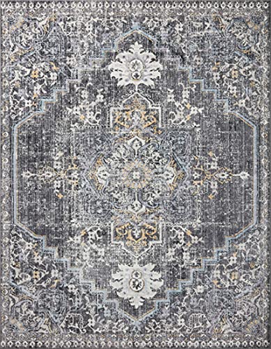 Loloi II Cassandra Collection CSN-02 Charcoal/Gold, Traditional 7'-10" x 10' Area Rug