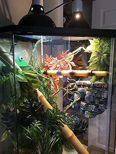 2 Pieces Frog Habitat with Dual Suction Cups Cute Fish Tank for Amphibian Aquatic Toad Frog Tadpole Tree Frog Small Aquatic Animals
