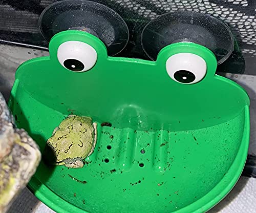 2 Pieces Frog Habitat with Dual Suction Cups Cute Fish Tank for Amphibian Aquatic Toad Frog Tadpole Tree Frog Small Aquatic Animals