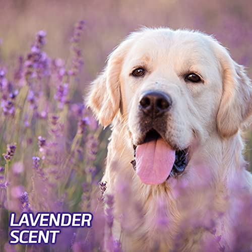 Hartz Home Protection Odor Eliminating Scented Dog Pads, Super Absorbent & Won’t Leak, Lavender Scent, 3XL Pads, 30 Count, Packaging May Vary