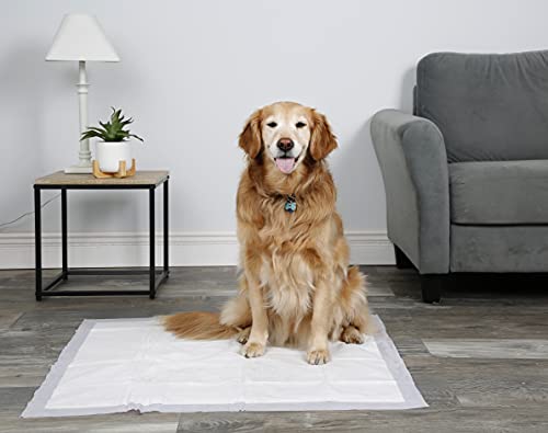 Hartz Home Protection Odor Eliminating Scented Dog Pads, Super Absorbent & Won’t Leak, Lavender Scent, 3XL Pads, 30 Count, Packaging May Vary