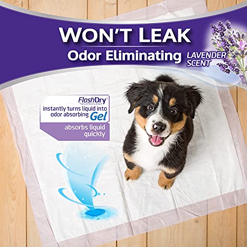 Hartz Home Protection Odor Eliminating Scented Dog Pads, Super Absorbent & Won’t Leak, Lavender Scent, 3XL Pads, 30 Count, Packaging May Vary