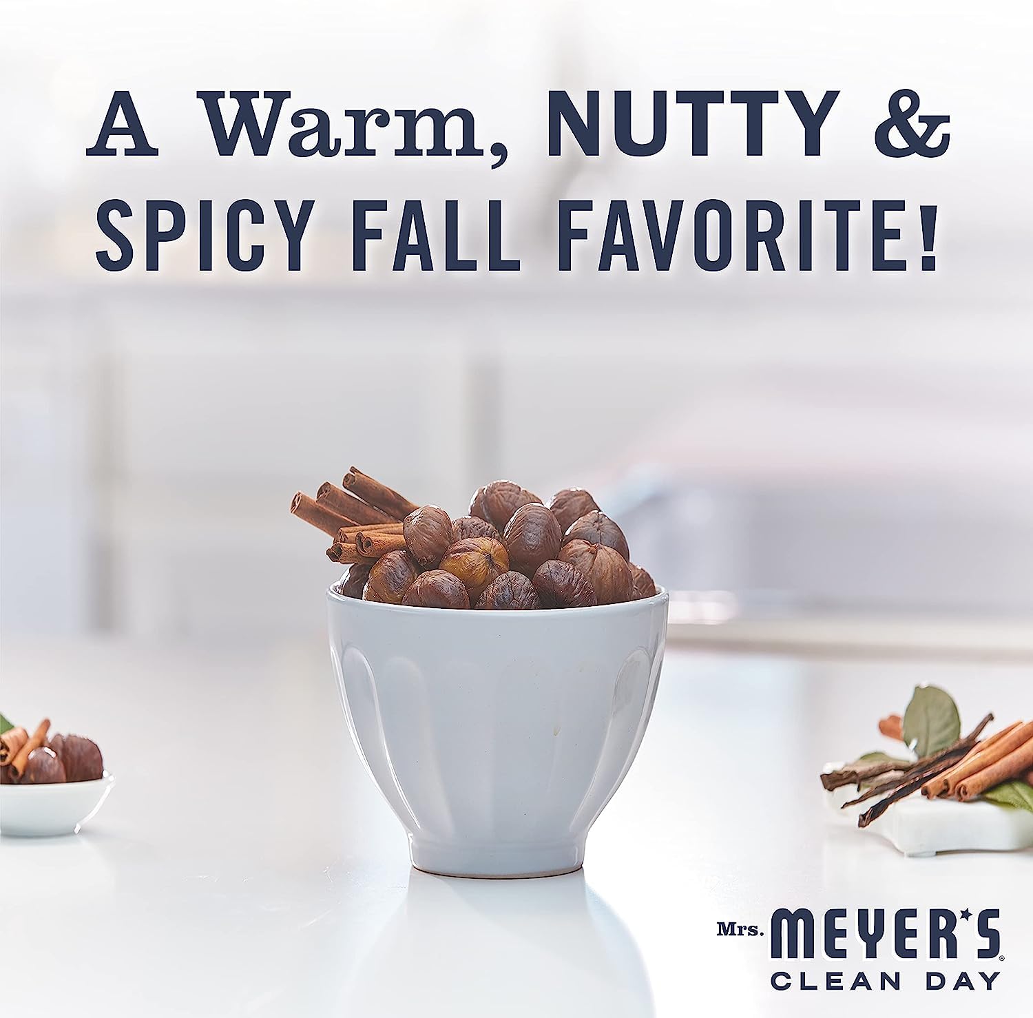 MRS. MEYER'S CLEAN DAY Variety Dish Soap Scent (Acorn Spice + Mum)