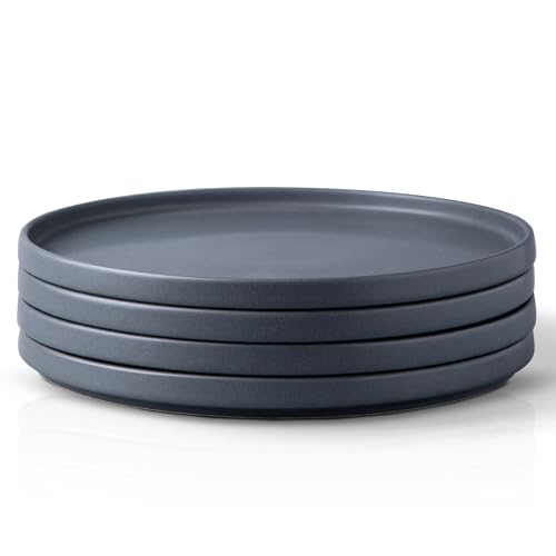 AmorArc Stoneware Dinner Plates Set of 4, 10.5 Inch Reactive Matte Glaze Ceramic Plates Set, Modern Dinnerware Dish set for Kitchen, Microwave, Dishwasher Safe, Scratch Resistant-Matte Charcoal Gray