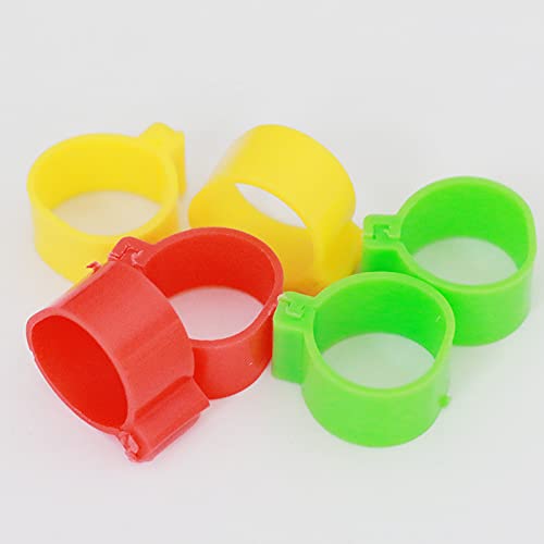 QWEQWE 100 Pack Chicken Identification Leg Bands Rings, ， Bird Ring Leg Bands - Plastic Pigeon Foot Bands Clip on Leg Rings for Chicks Pigeons, Parrots, Chickens (Random Color)