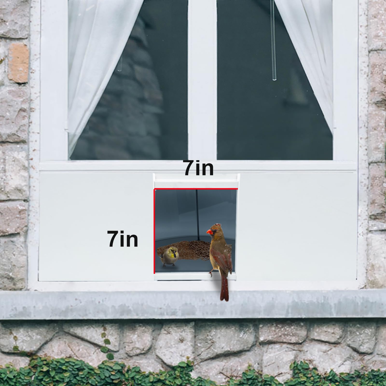 POOKULA Window Bird Feeder, 180° Clear View Bird Feeder, Durable and Elegant in-Window Bird Feeder for Watching Birds - Embrace The Delight of Bird Feeder.