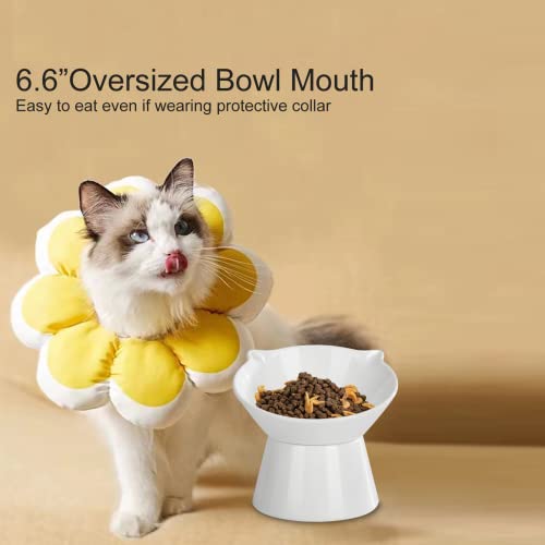 Detachable Elevated Cat Bowls, 15° Tilted Raised Cat Food Bowl Anti-Vomiting,Whisker Friendly, Adjustable Cat Dishes for Protecting Spine,Adult Kitten