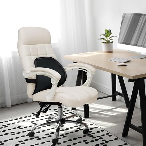 SANHSEHOME Lumbar Support Back Support for Office Chair 2 Pack Lumbar Support Pillow for Car Chair Back Support with Triple Layer Mesh & Adjustable Straps