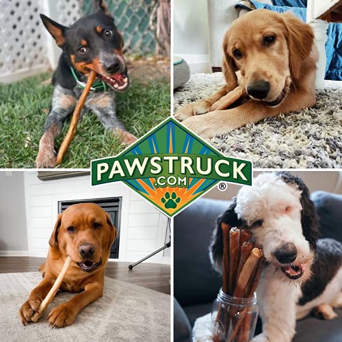 Pawstruck Beef Collagen Sticks for Dogs, Long Lasting Chews for All Breeds, 5-Count Bully Sticks and Rawhide Alternative Treats w/Chondroitin & Glucosamine, Low Fat & High Protein Dental Treats