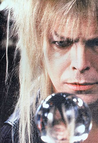 Surreal Entertainment Labyrinth The Movie Jareth The Goblin King Super Soft Fleece Throw Blanket, Black, One Size