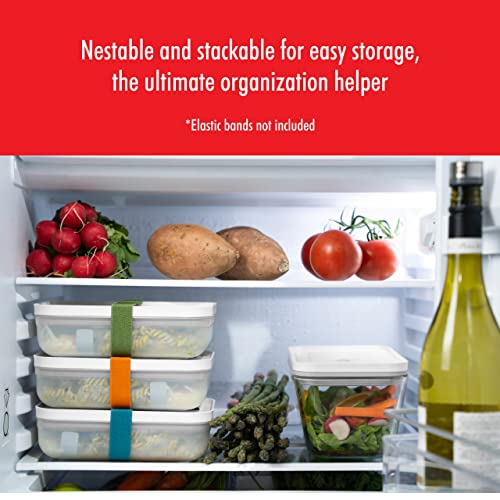ZWILLING Fresh & Save Flat Lunch Box Large, Airtight Food Storage Container, Meal Prep Container, BPA-Free, Semi-transparent