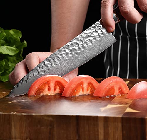 wonhag Damascus Chef Knife Professional VG10 Stainless Steel Cleaver Damascus 8 Inch Chef Knife Brown Handle Gift Box