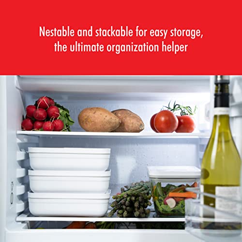 ZWILLING Fresh & Save Flat Lunch Box Large, Airtight Food Storage Container, Meal Prep Container, BPA-Free, Grey