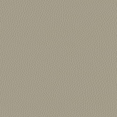 Lexicon Ezra Genuine Leather Power Reclining Sofa, Beige