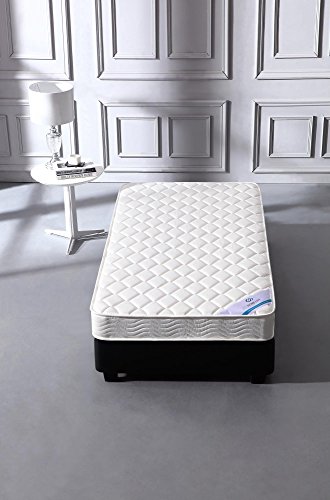 Home Life 6-Inch Twin Size Spring Mattress (Twin) (furMattB3260Twin_Mint)